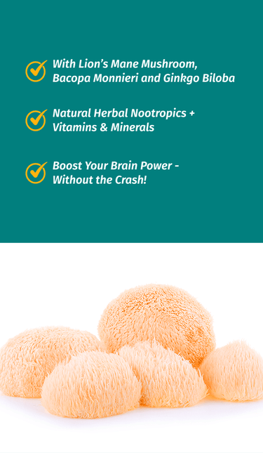 Brain Support Supplement | Memory Support Supplement |1 Body